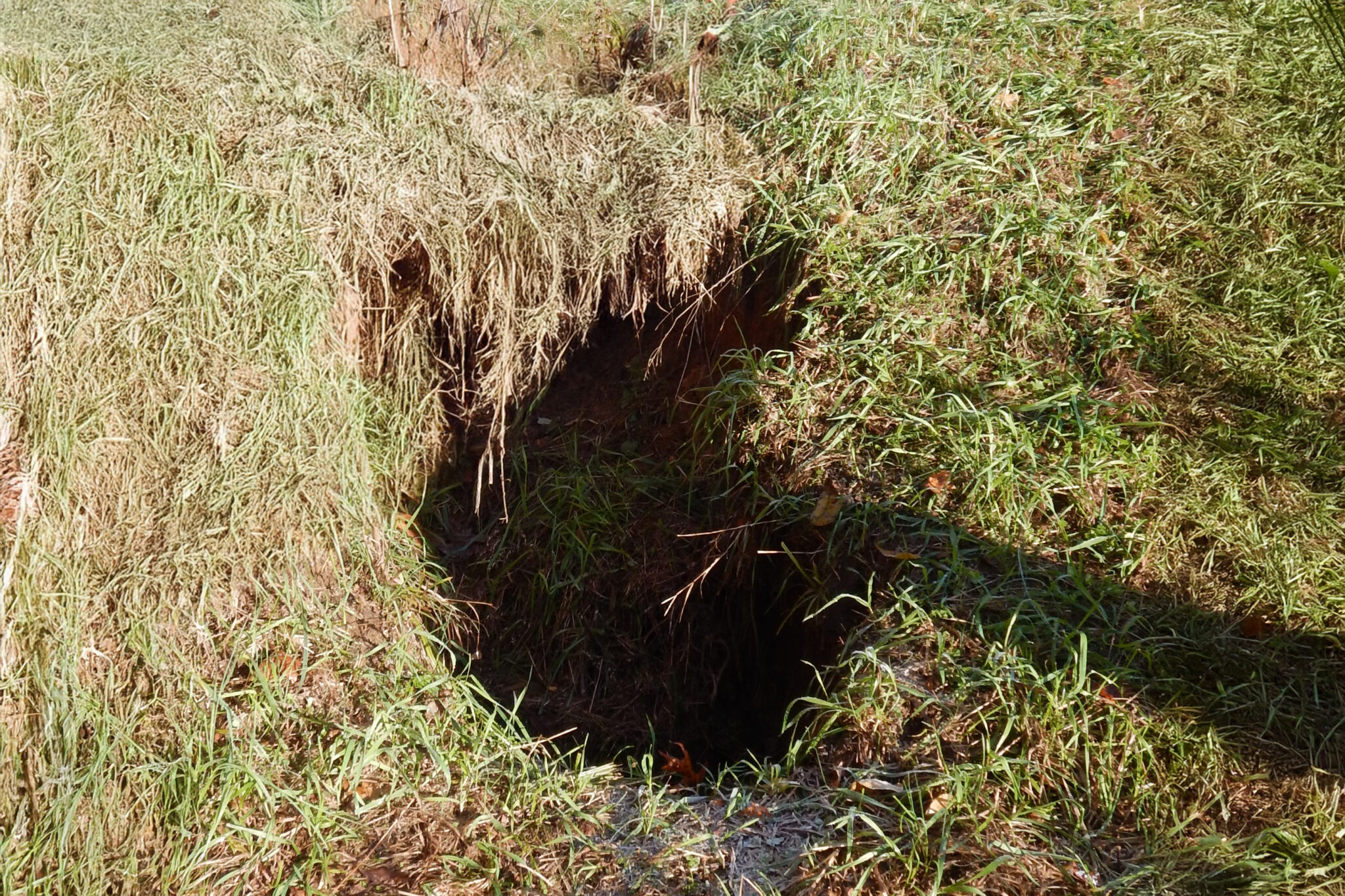 Spring Dam Check: A Reminder for Dam Owners - Commonwealth Engineers